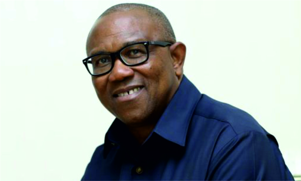 HE Peter Obi Like The Great Egret | ImpactHub
